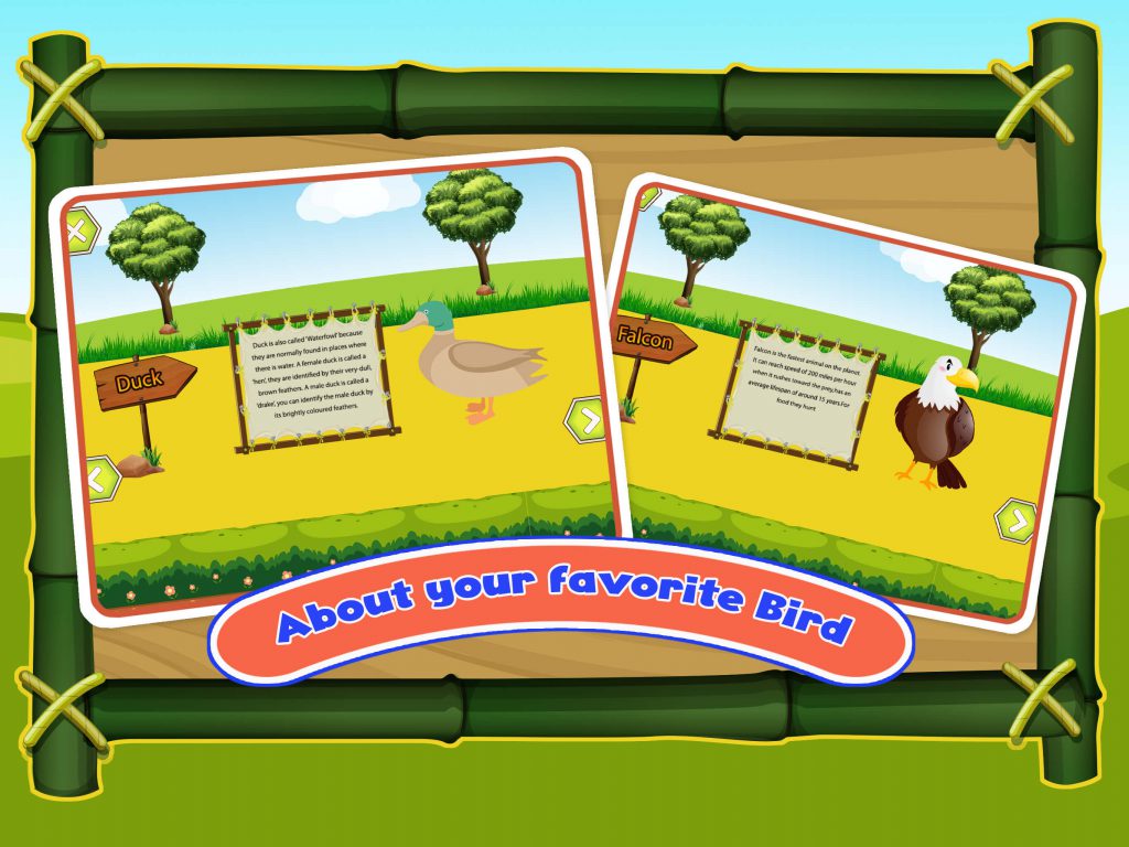 Birds Park - Bird Facts for Kids - The Learning Apps