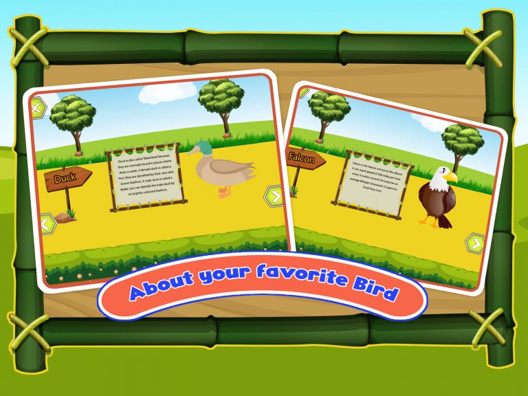 Birds Park - Bird Facts for Kids - The Learning Apps