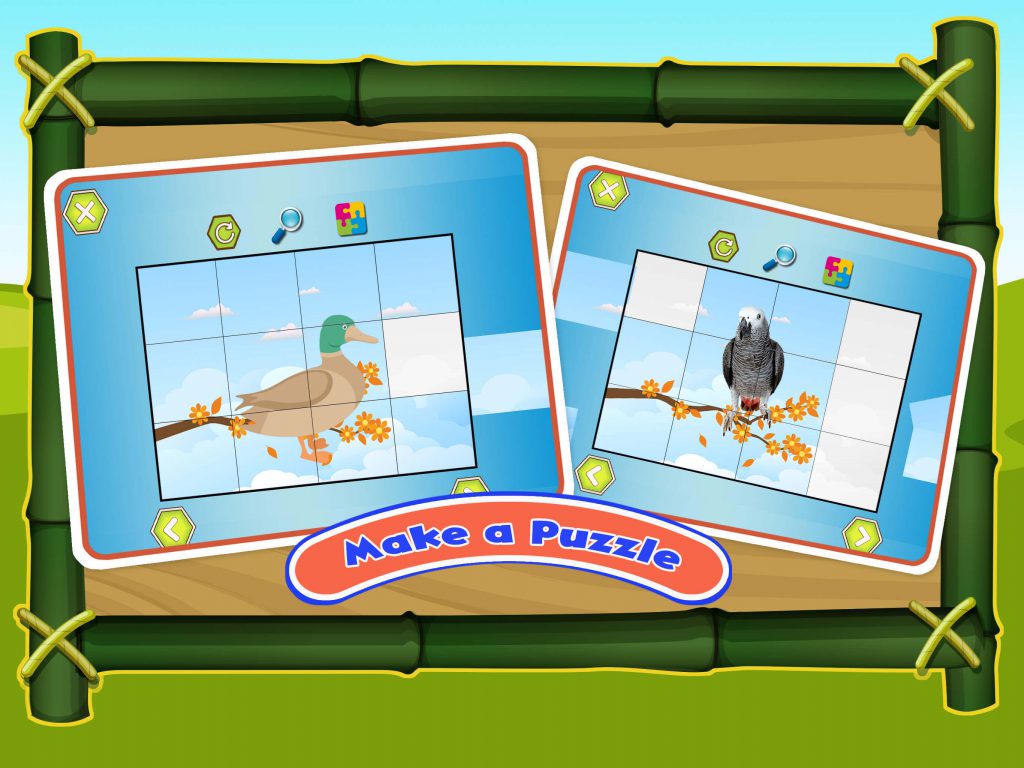 Birds Park - Bird Facts for Kids - The Learning Apps