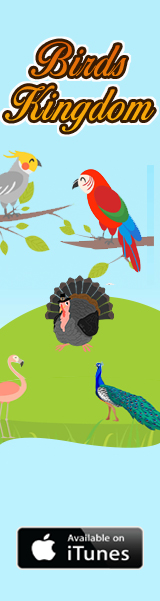 Online Bird Games For Kids Free - Bird Facts For Kids