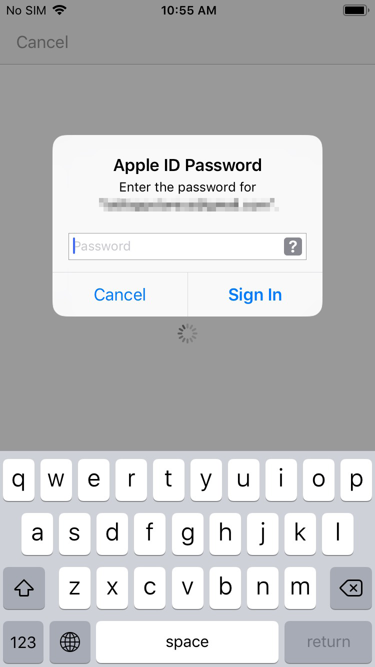 How to redeem a paid app promo code on iPhone/iPad - The Learning Apps