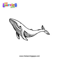 Download Free Printable Blue Whale Coloring Worksheet for Kids