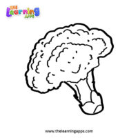 Download Free Printable Broccoli Coloring Worksheet For Kids