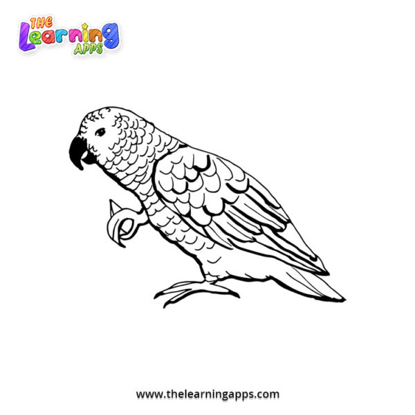 Download free printable Grey-parrot Coloring Worksheet for kids