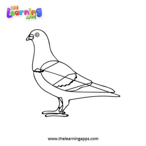 Download Free Printable Pigeon Coloring Worksheet for Kids