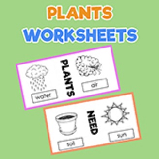 Free Printable Science Worksheets for Kindergarten Kids