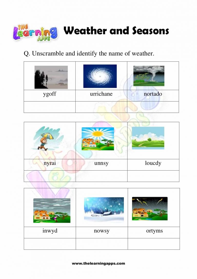 Free Weather and Seasons Grade 3 worksheet 10 for Kids