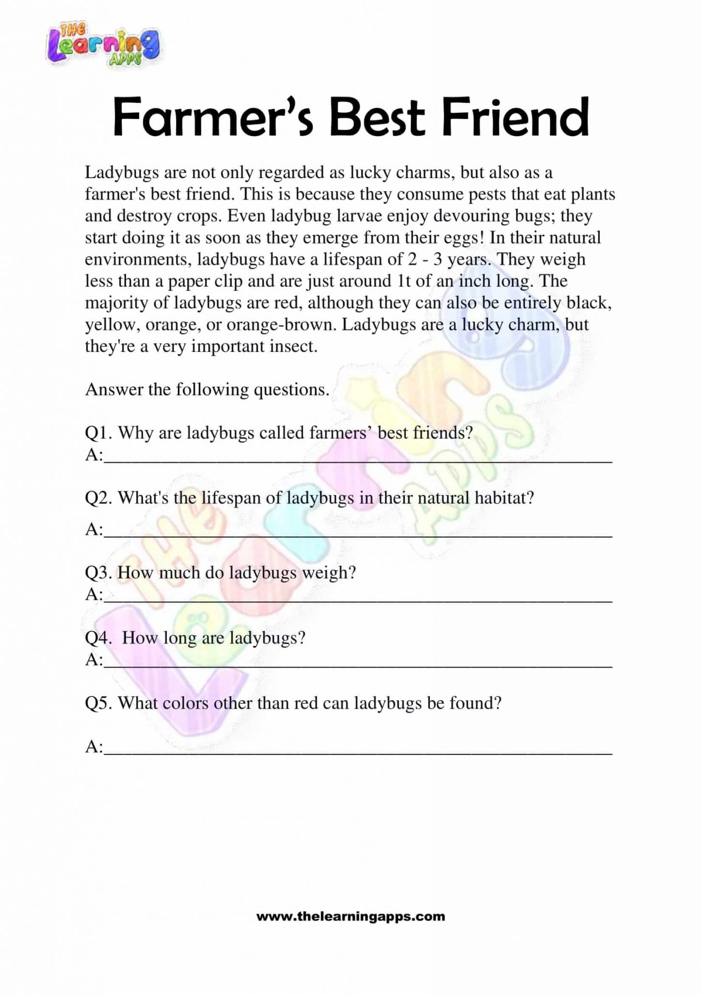 Free Non Fiction Reading Passages Worksheets for Grade 1