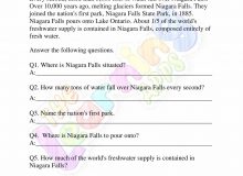 Free Non Fiction Reading Passages Worksheets for Grade 1