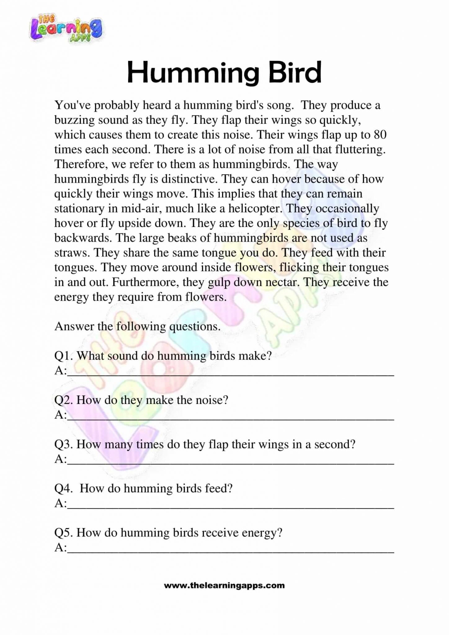 Free Non Fiction Reading Passages Worksheets for Grade 2