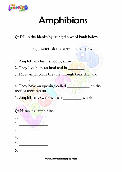 Download Free Printable Amphibians Worksheets for Grade 3