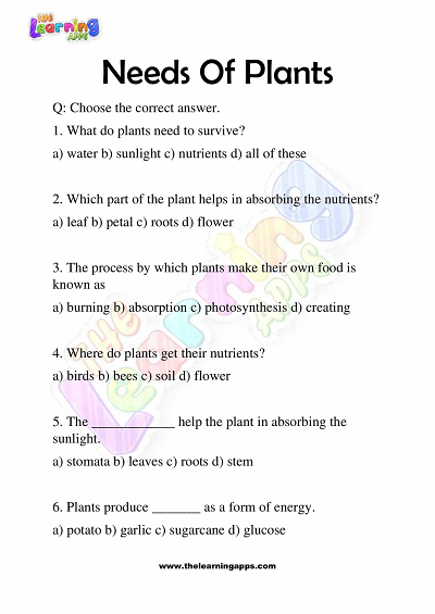 Download Printable Needs of Plants Worksheets for Grade 3