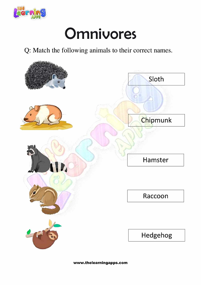 Download Free Printable Omnivores Worksheets for Grade 3