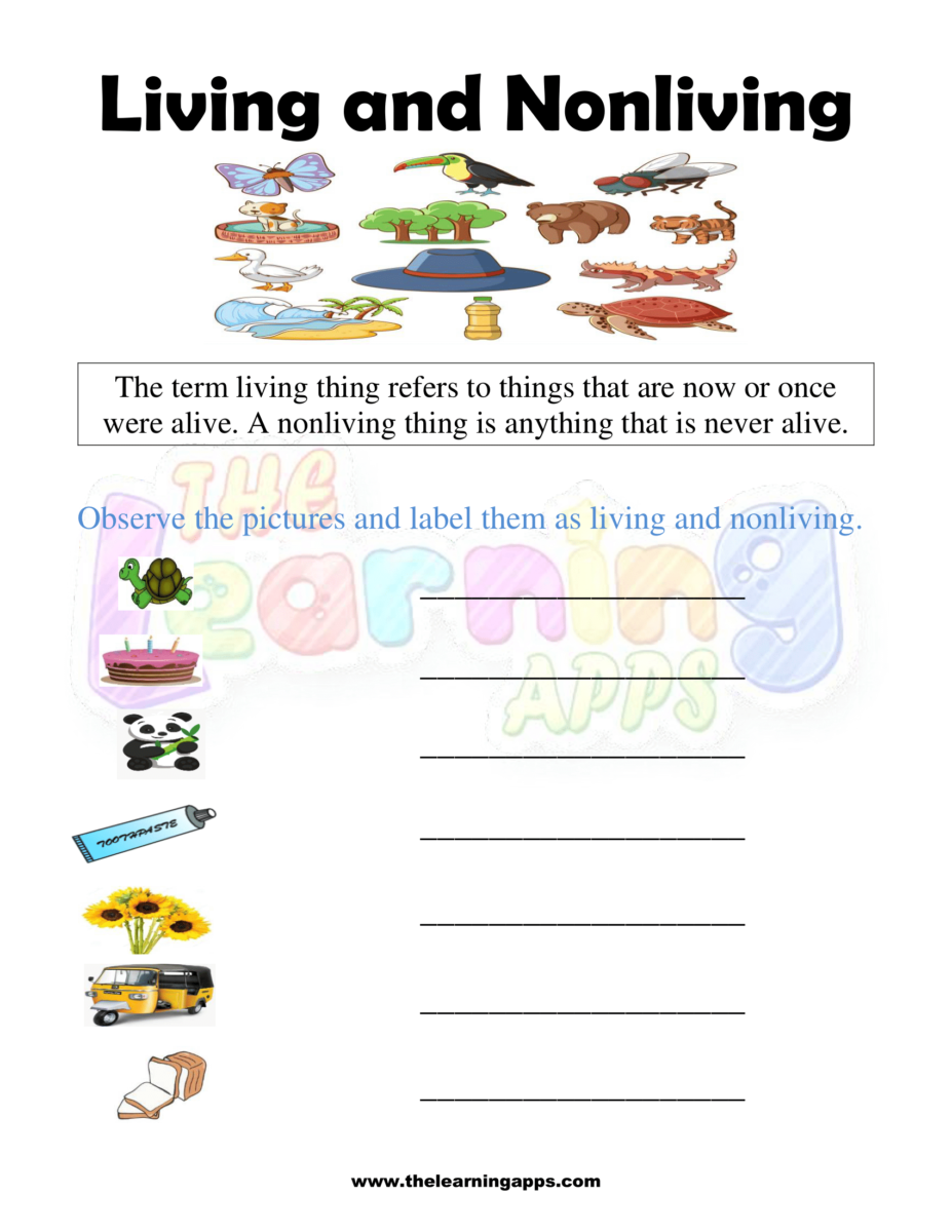 Living Vs Nonliving Worksheet