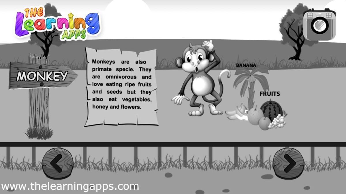 Zoo Animals Facts and Descriptions Printables for Kids