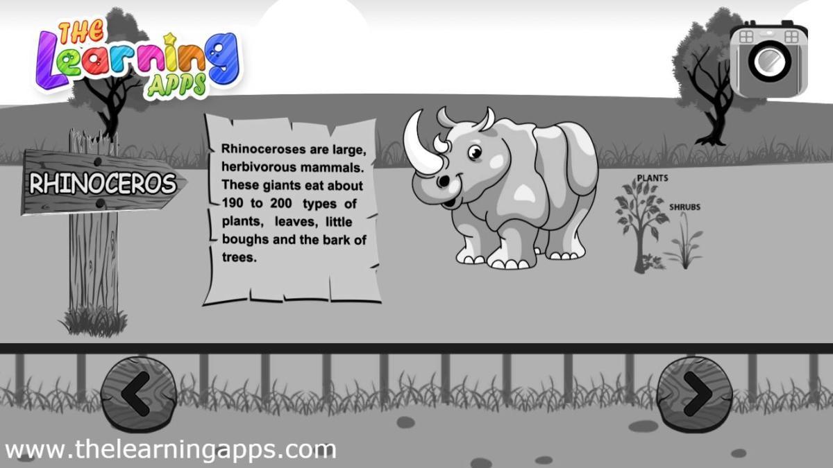 Zoo Animals Facts and Descriptions Printables for Kids